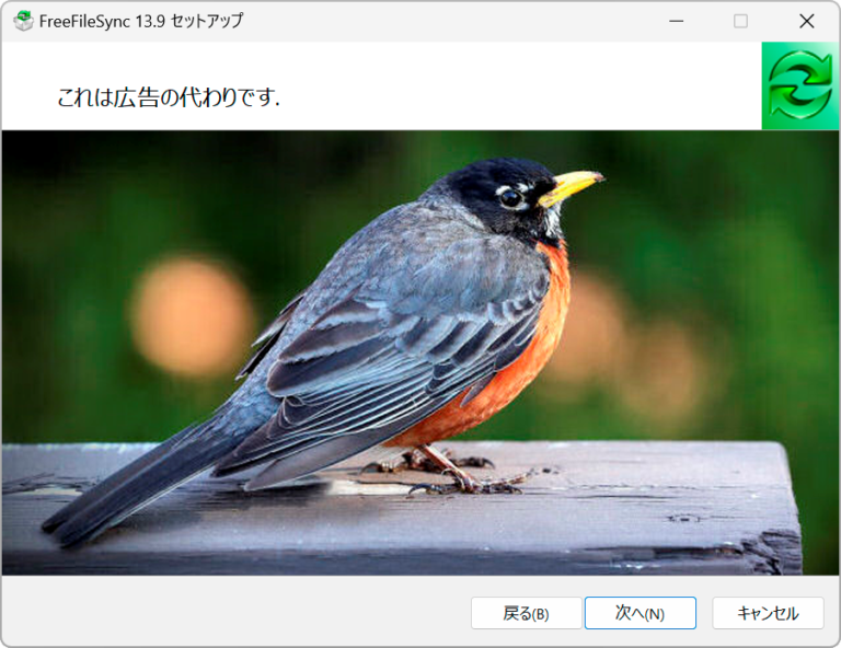 ファイル同期ソフトの決定版？FreeFileSyncの導入と使い方[Win,Mac対応] - studio9